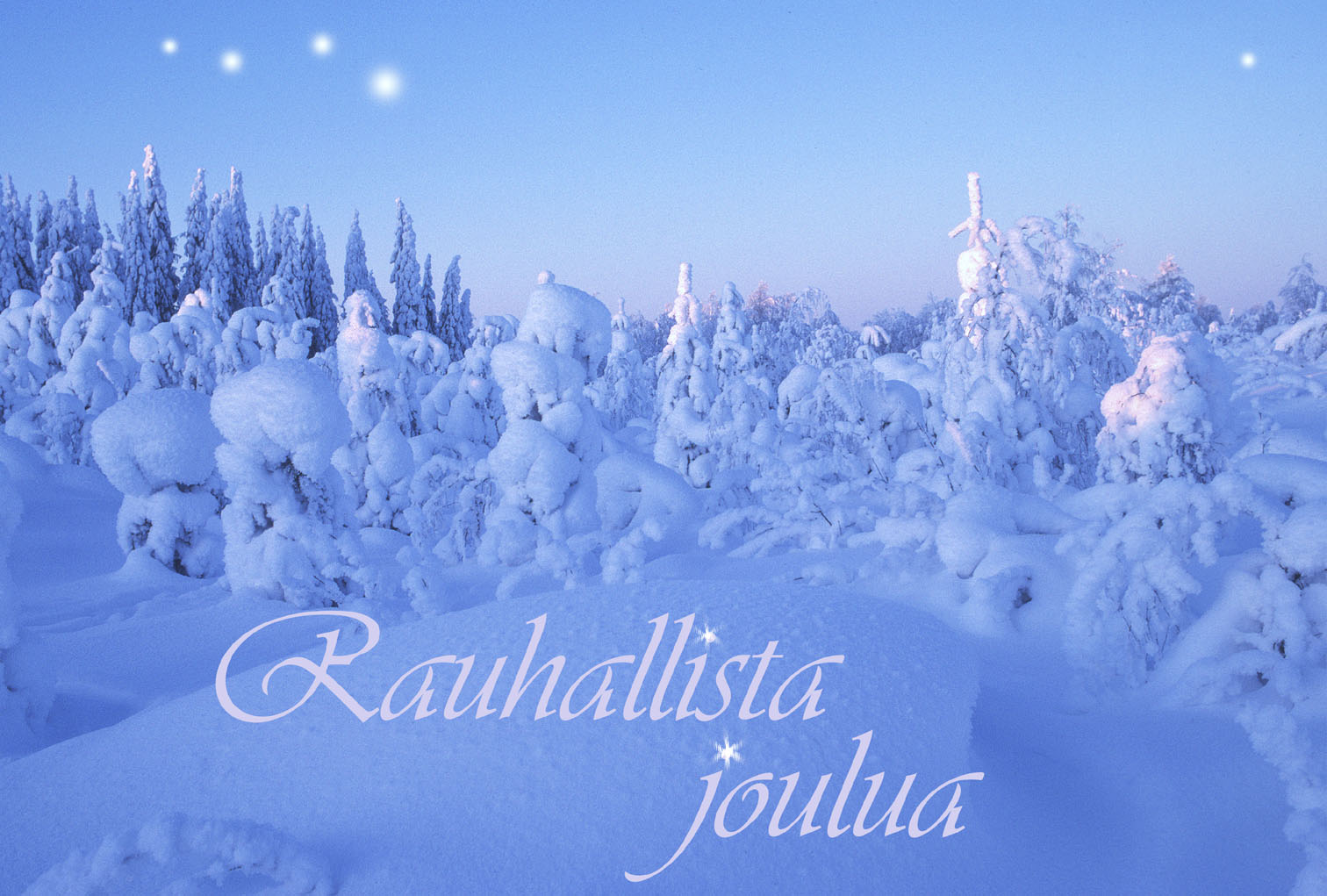 Hyvää joulua ja onnellista uutta vuotta! | Lahden Suunnistajat -37